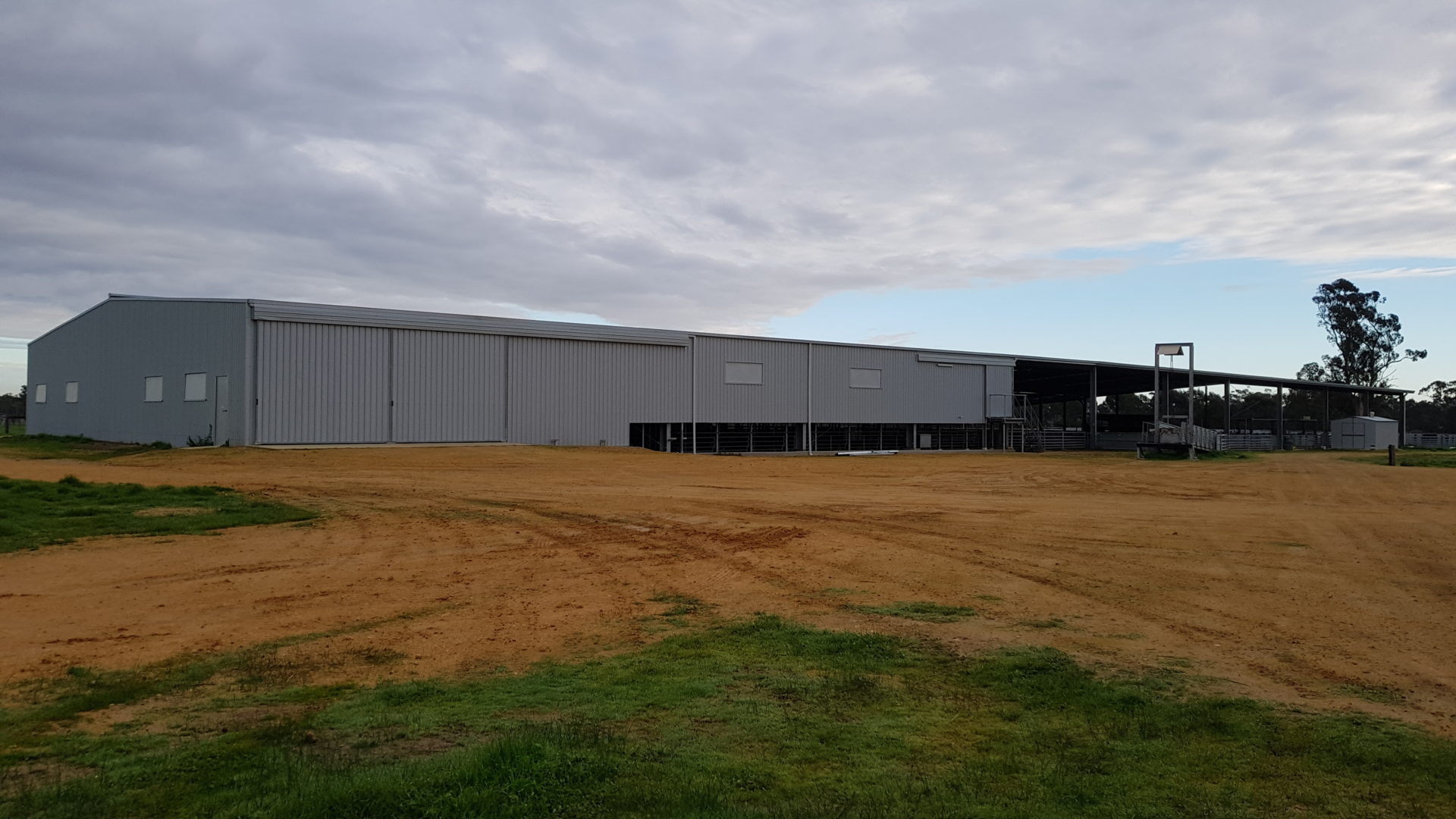 10 Things To Consider When Planning Your New Shearing Shed - Action Steel