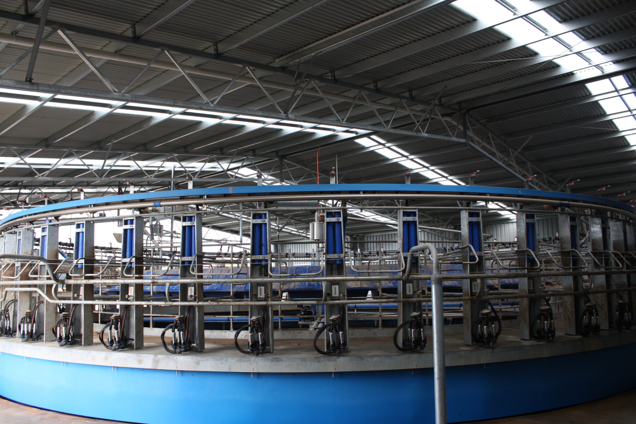 A Guide To Designing Your Dairy Shed - Action Steel