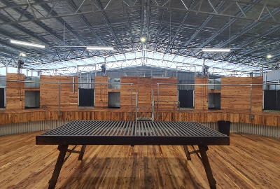 Shearing Sheds - Designed For Safety & Efficiency