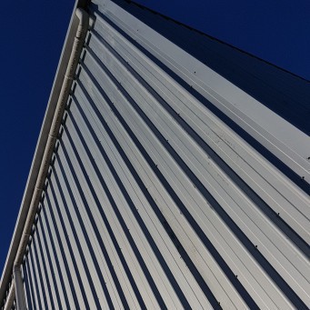 A Guide To Choosing Corrugated Iron or Trimclad - Action Steel