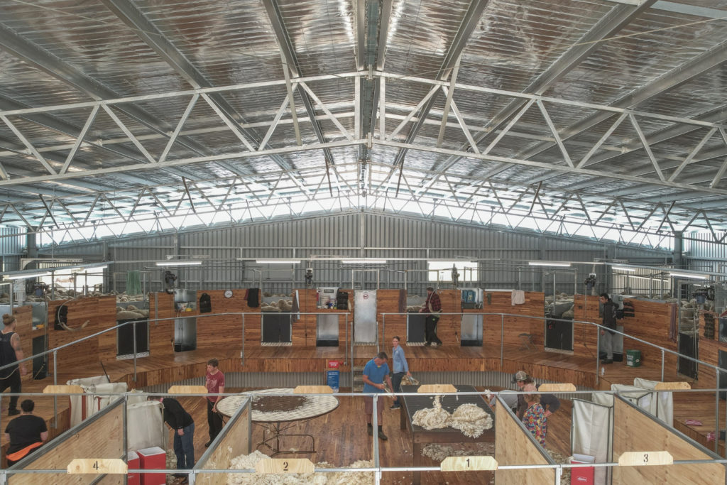 Shearing Sheds - Designed For Safety & Efficiency