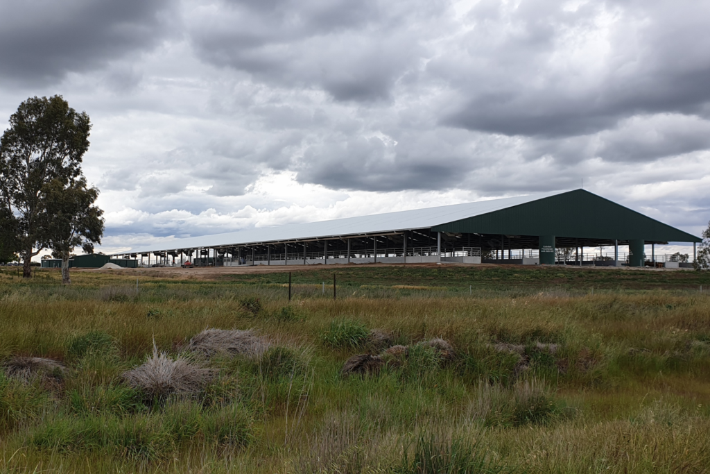 192m x 57m x 5.5m freestall barn - Action Steel