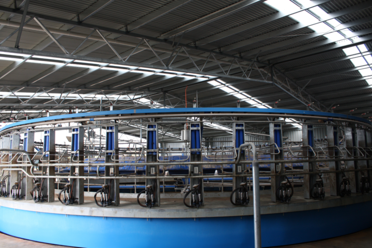 Dairy Sheds Built To Last - Quality Dairy Shed Designs - Action Steel