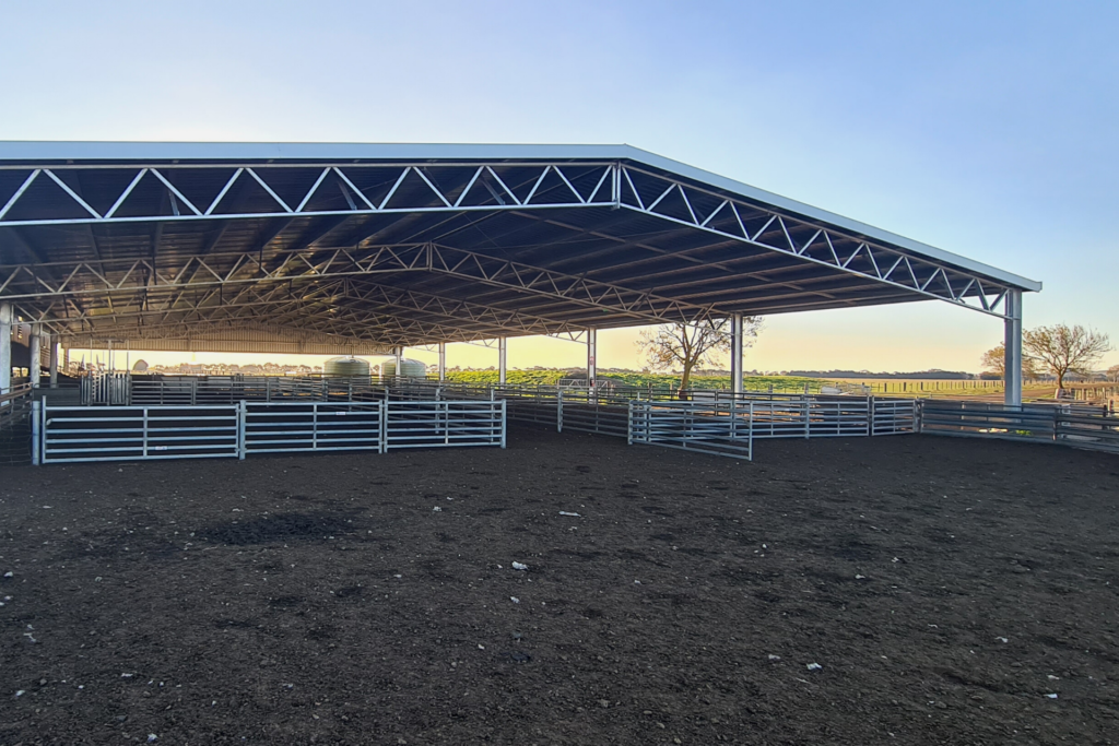 40m x 24m x 3.6m sheep yard cover - Action Steel