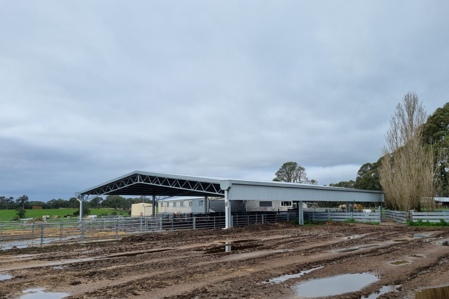 25.5m x 21m x 3m sheep yard cover - Action Steel