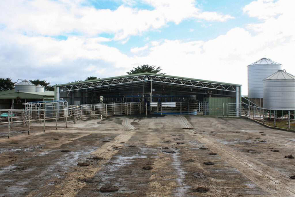The Cost To Build A Rotary Dairy Shed (Price Guide) - Action Steel