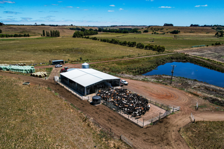 Dairy Sheds Built To Last - Quality Dairy Shed Designs - Action Steel