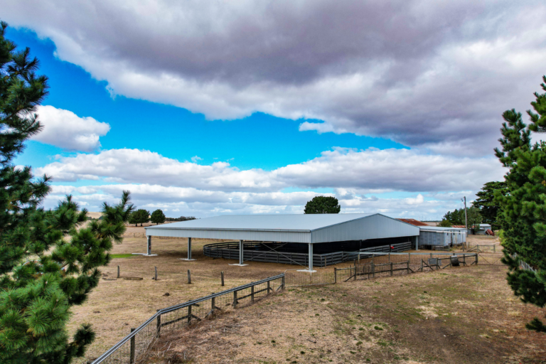 27m x 27m x 3.2m sheep yard cover - Action Steel