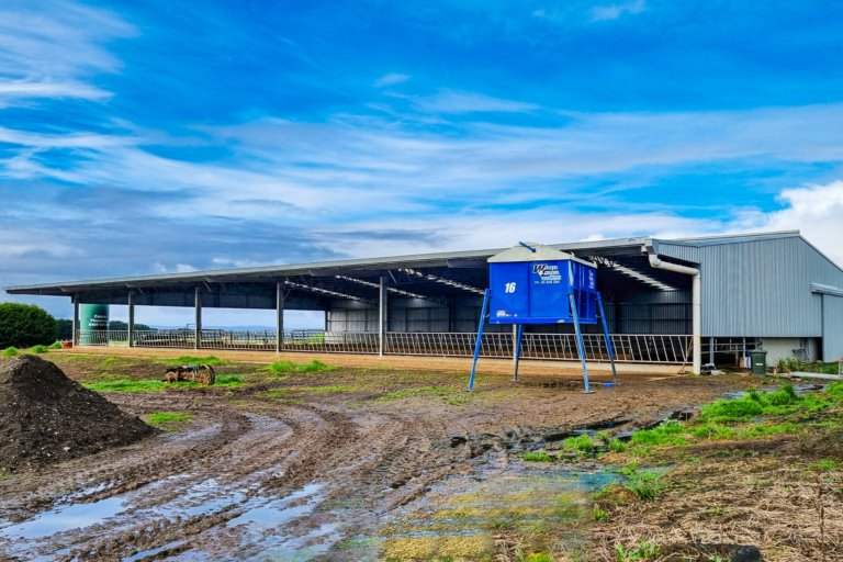 10 Questions About Building A Calving Shed, Answered - Action Steel