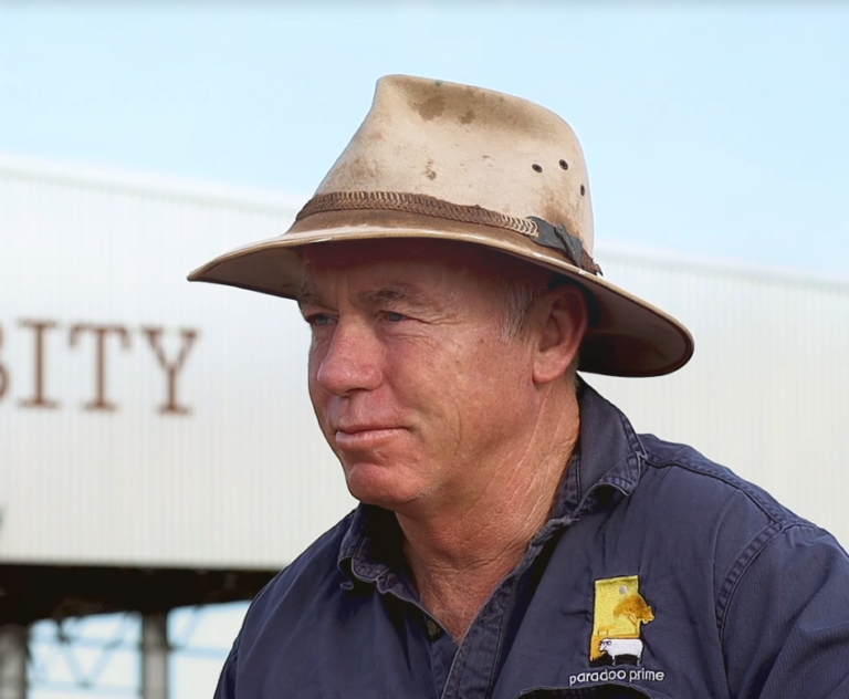 What Are The Benefits Of Covering Cattle Yards? - Action Steel