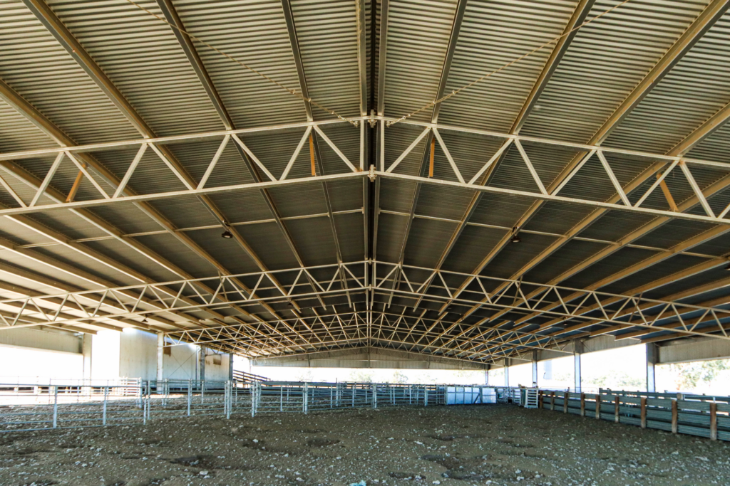 56m x 27m x 3.6m sheep yard cover - Action Steel