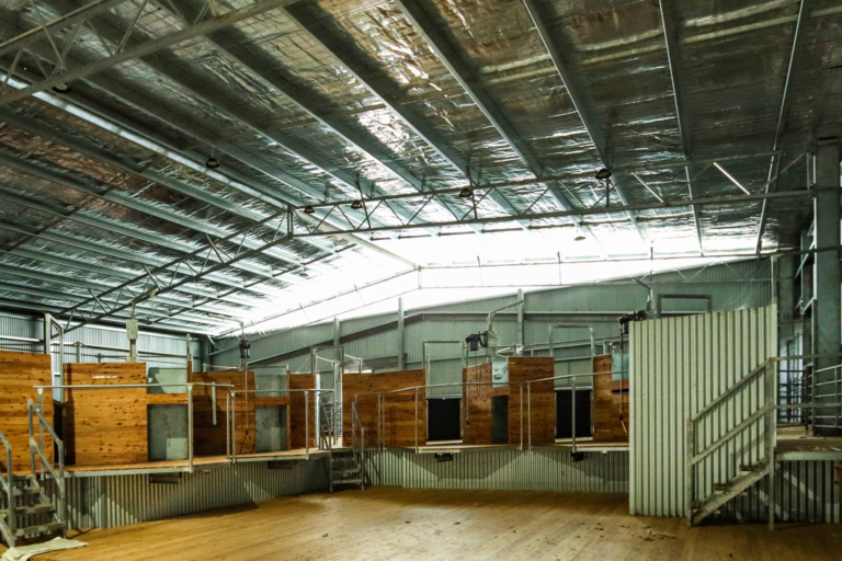Raised Board Shearing Sheds: Pros, Cons & Prices - Action Steel
