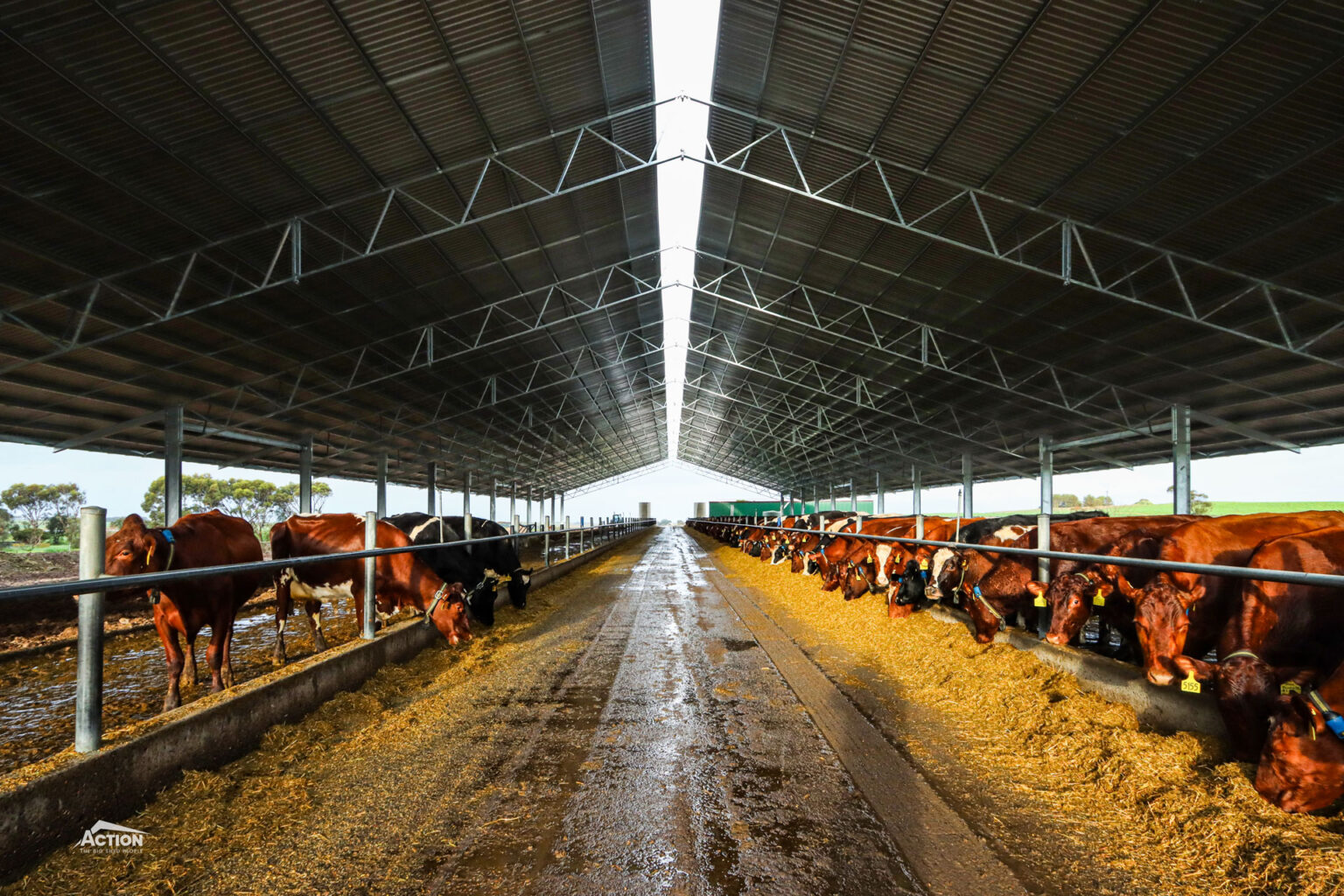 142m x 40m x 6m feed pad cover - Action Steel