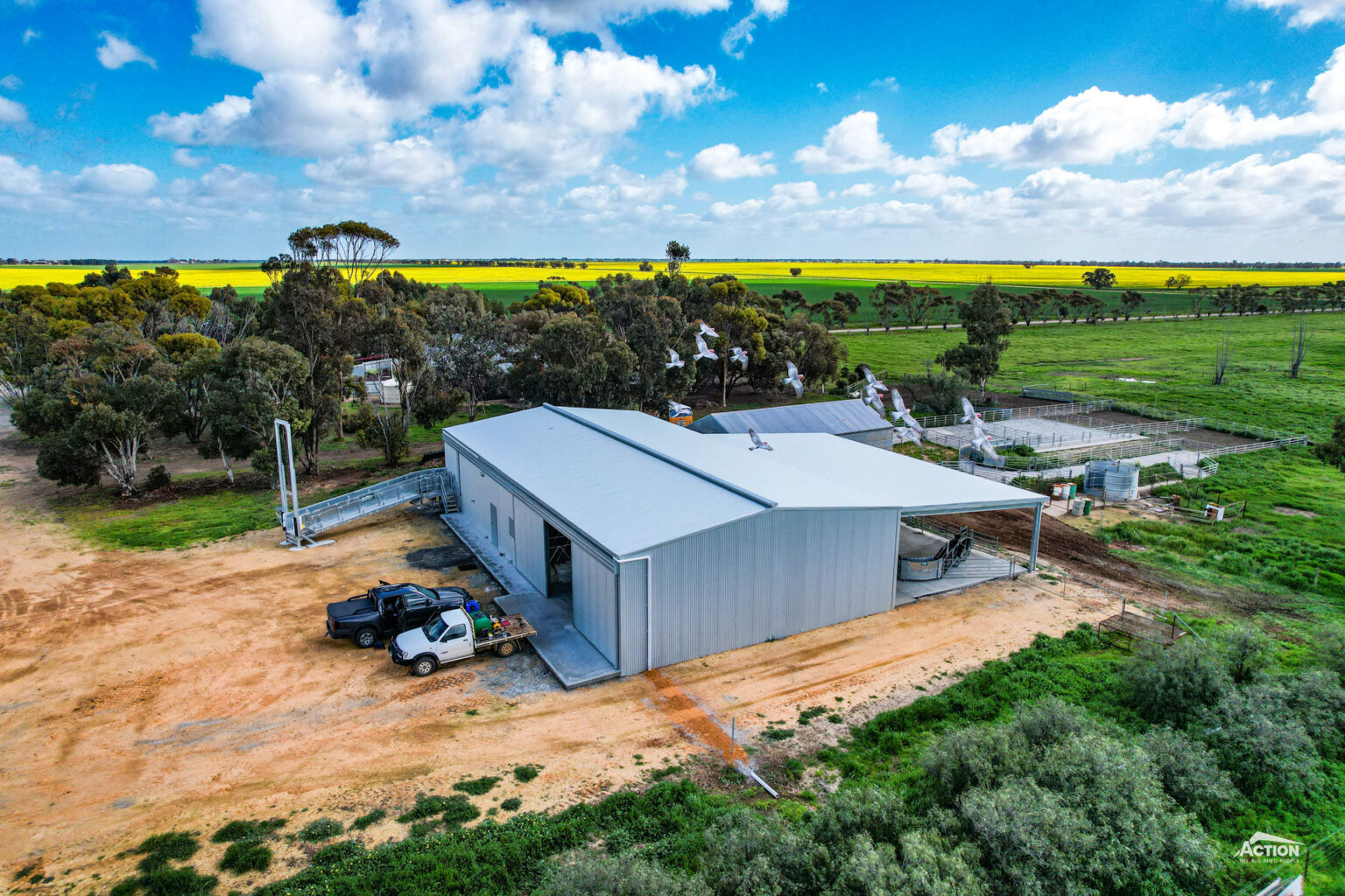 Shearing Sheds - Designed For Safety & Efficiency