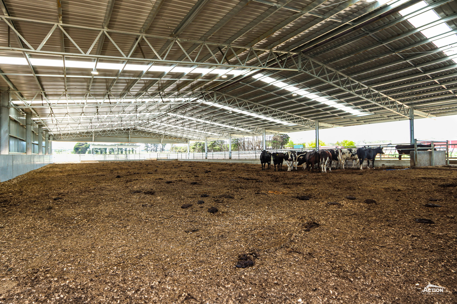 Preparing Your Calving Shed (A Checklist) - Action Steel