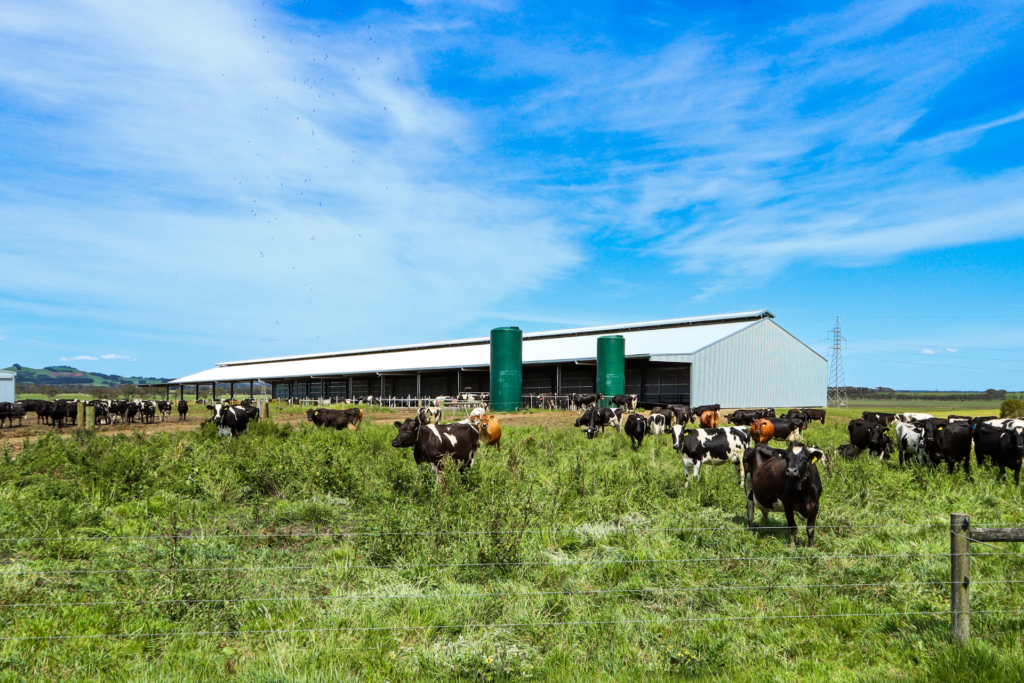 Loafing Barn Size – What Size Loafing Barn Should I Build? - Action Steel