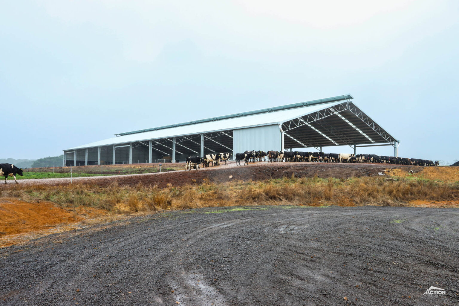 100m x 40m x 6m maternity barn - Action Steel