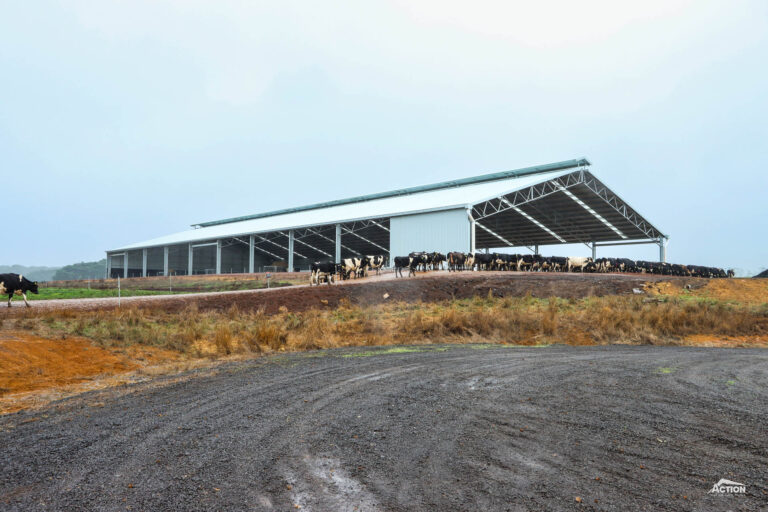 Covered Feedpads & Dairy Barns - Airflow Research & Designs - Action Steel