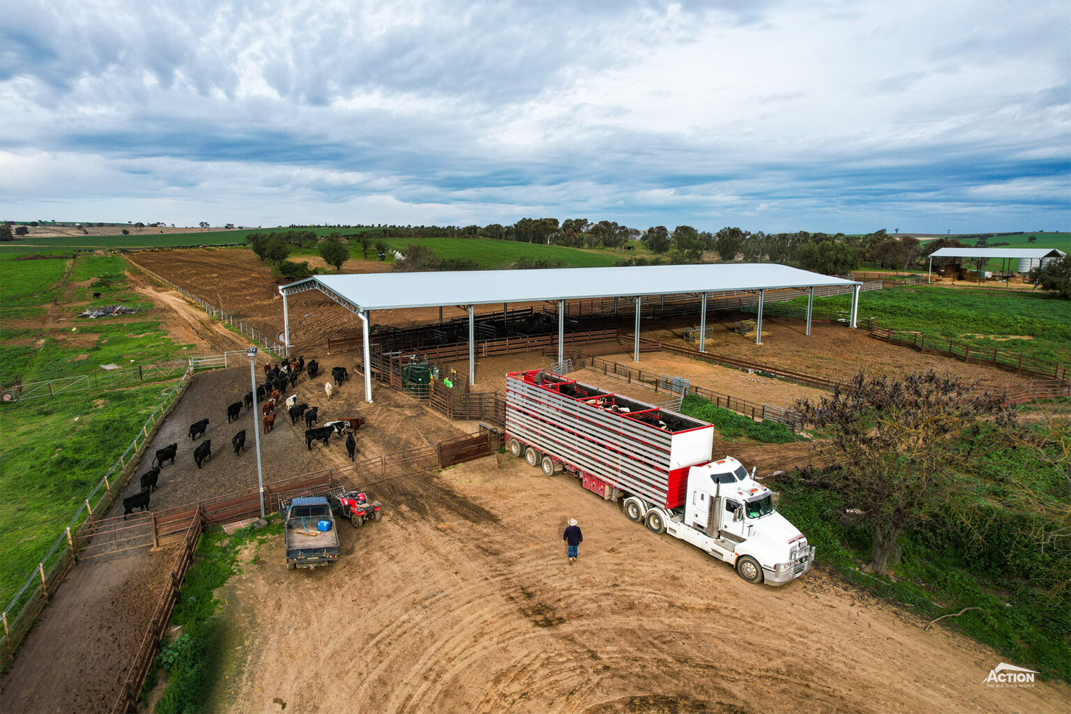 59.5m x 24m x 6m cattle yard cover - Action Steel