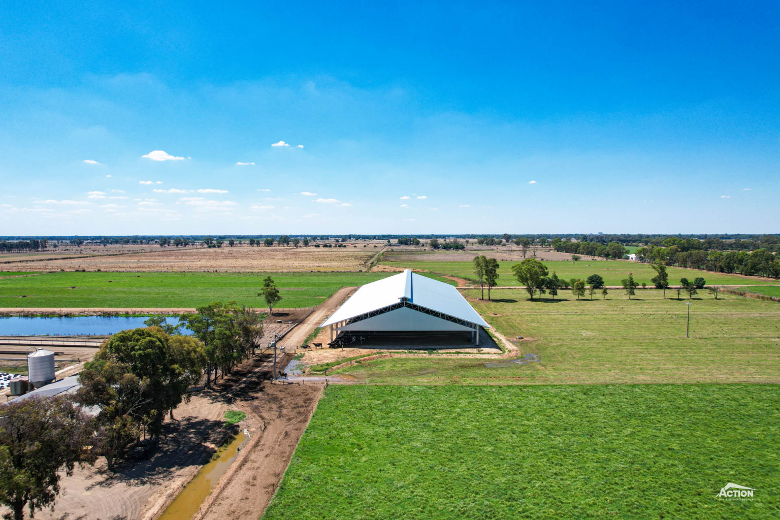 Loafing Barn System A Valuable Management Tool for Cow Comfort