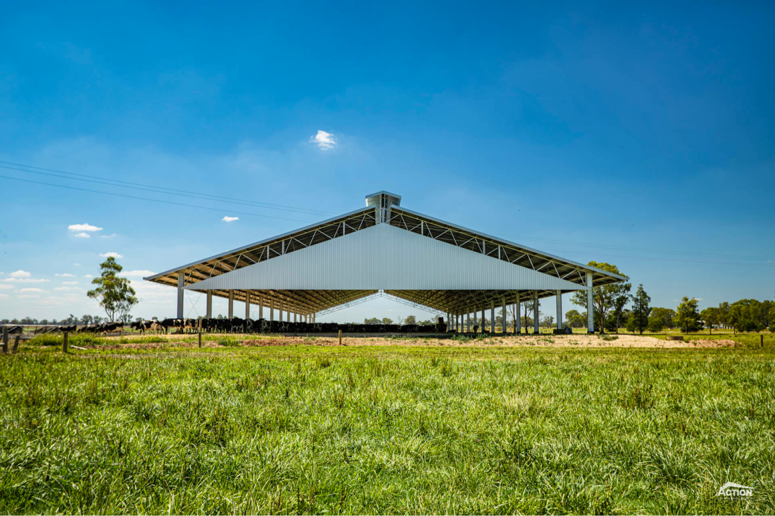 Loafing Barn System A Valuable Management Tool for Cow Comfort